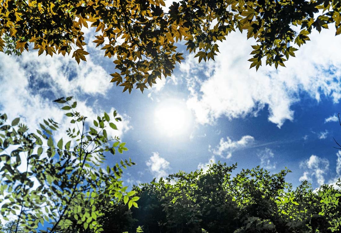 Tips: How to clean your trampoline?